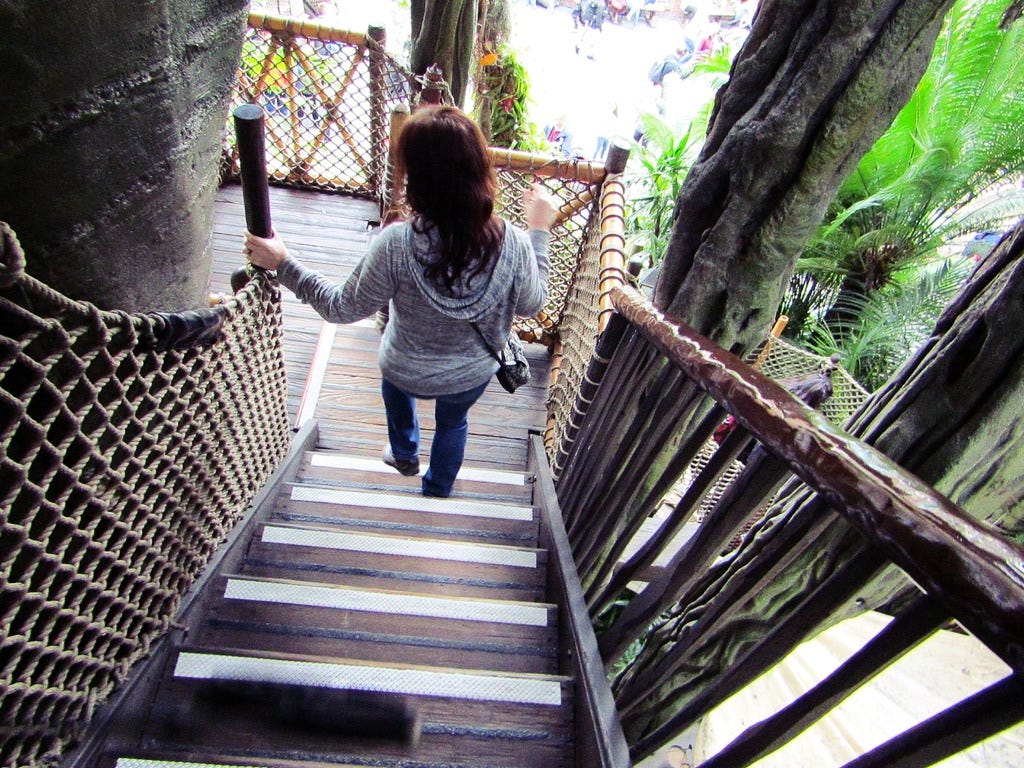 About Me — Lily Bell. Seattle, WA | Domestic Violence Data… | by Lily ...