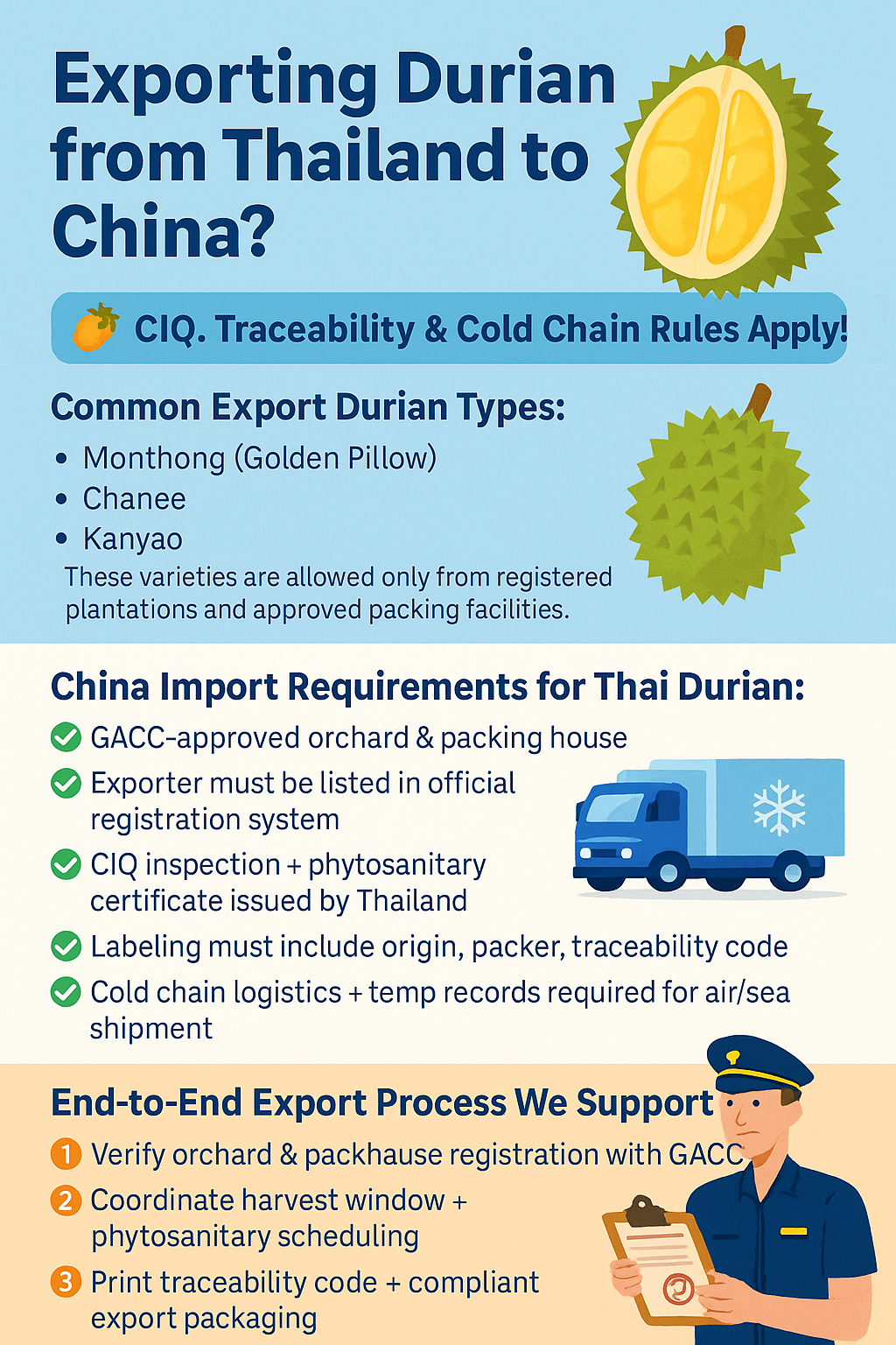 Exporting Durian from Thailand to China? 🥭 CIQ, Traceability & Cold ...