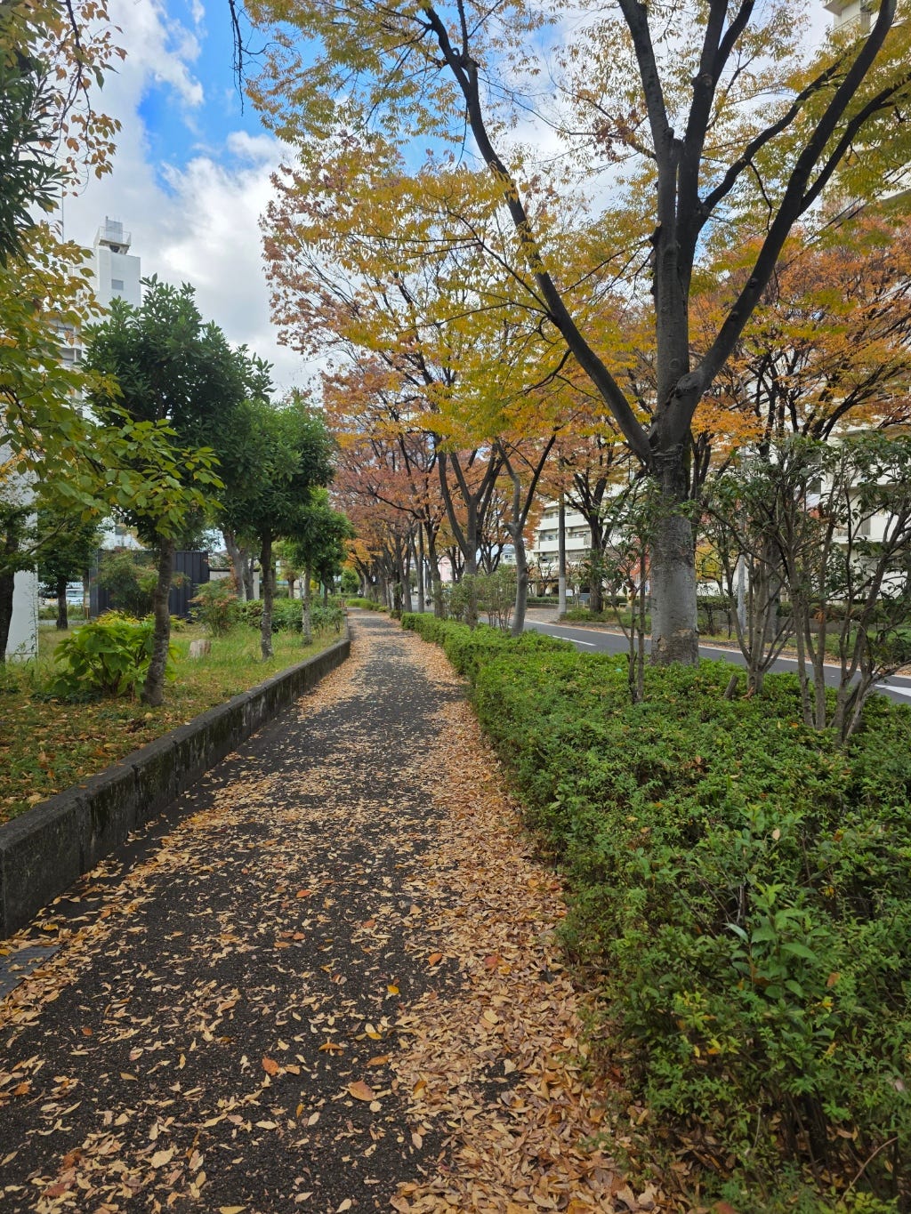 10 Mistakes Tourists Make in Japan (and Hotel-Insider Fixes) | by Suman ...