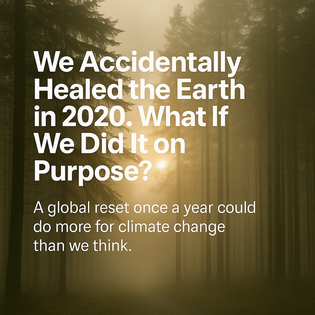 We Accidentally Healed the Earth in 2020. What If We Did It on Purpose ...