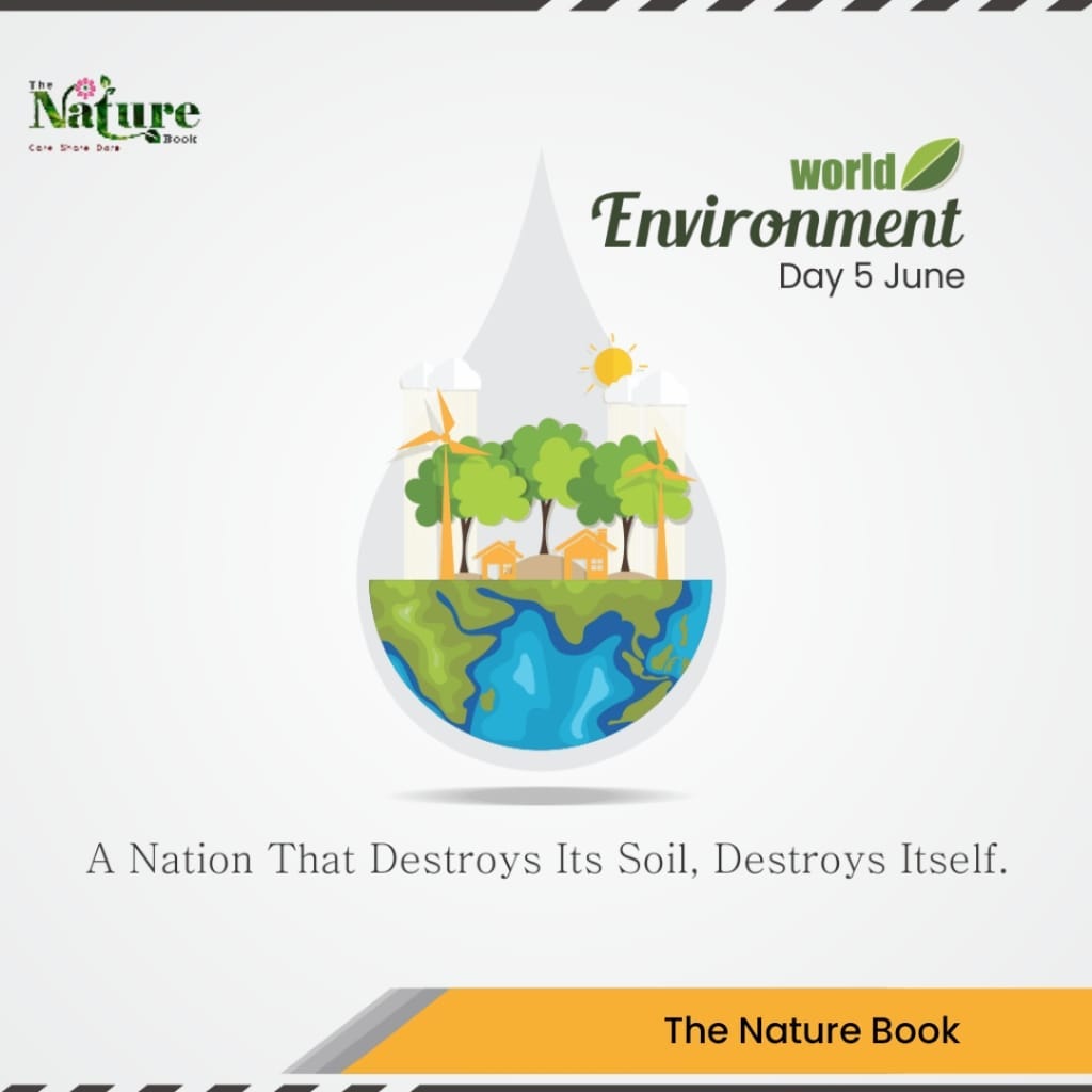 From Small Steps to Giant Leaps: How to Make Everyday Environment Day ...