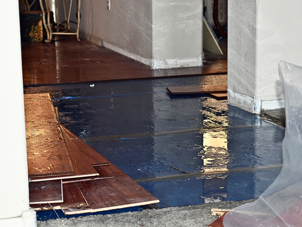Making Sense of Water Damage Restoration Timelines | by David Wilson ...