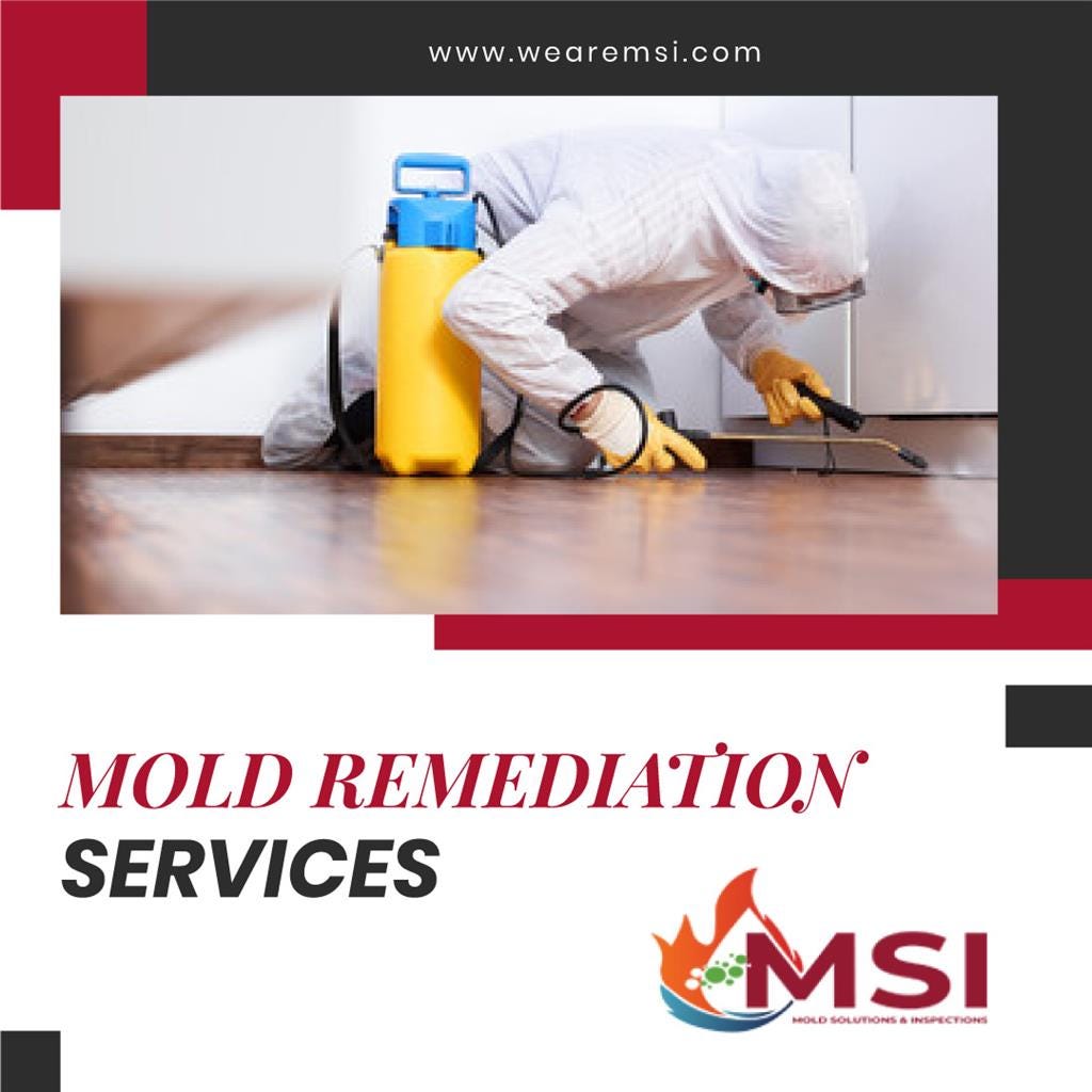 Mold Remediation Services - Mold Solutions & Inspections - Medium