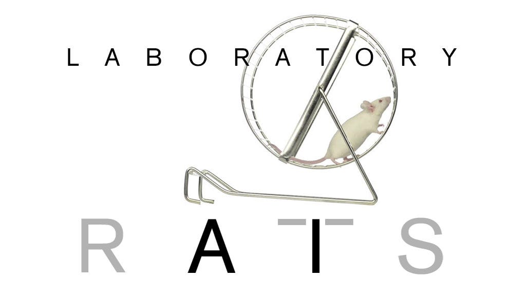 LABORATORY RATS. I recently watched a commercial for a… | by Adriano ...