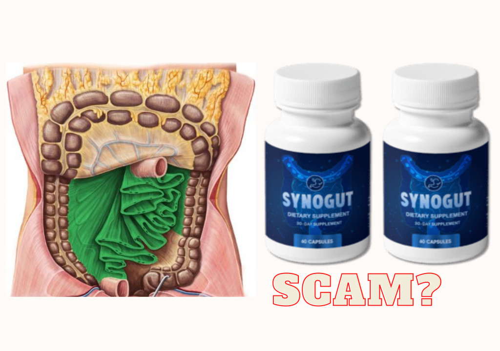 SynoGut: A Breakthrough in Digestive Health — The New Champion in the ...