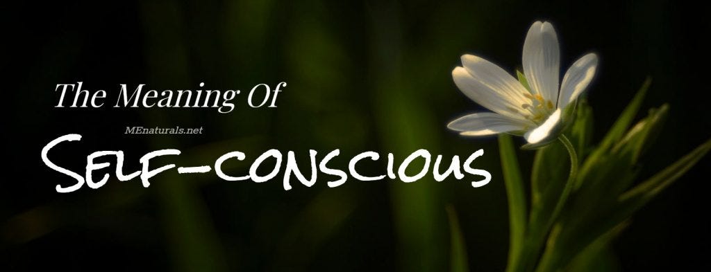 Meaning of | Self-Conscious - Menaturals - Medium