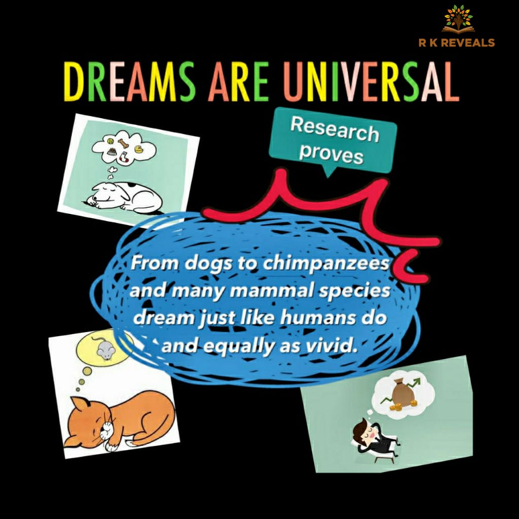 Dreams are Universal | by R K Reveals | Medium