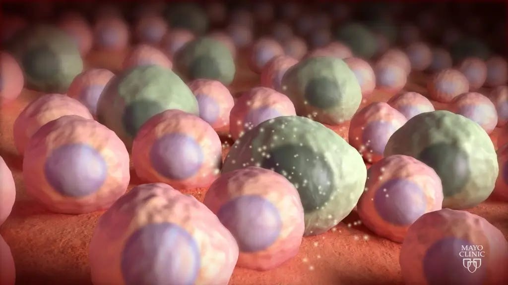 Zombie Cells — and How They Might Reverse Ageing | by Yash Laddha | Dec ...