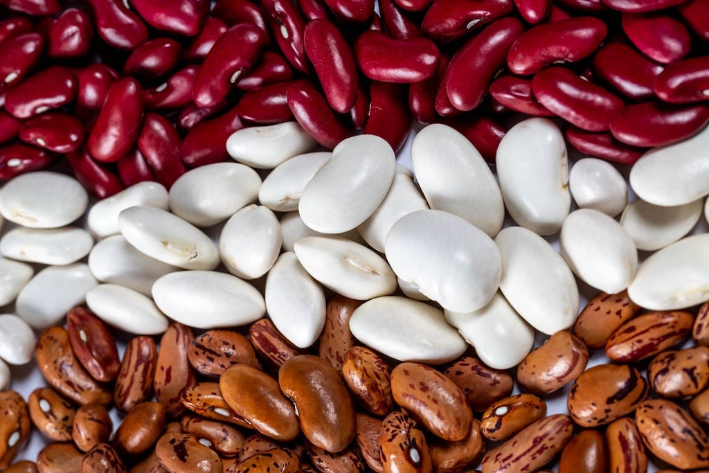 Discerning Nuances Between Beans: Exploring Dermason and Sira beans via ...
