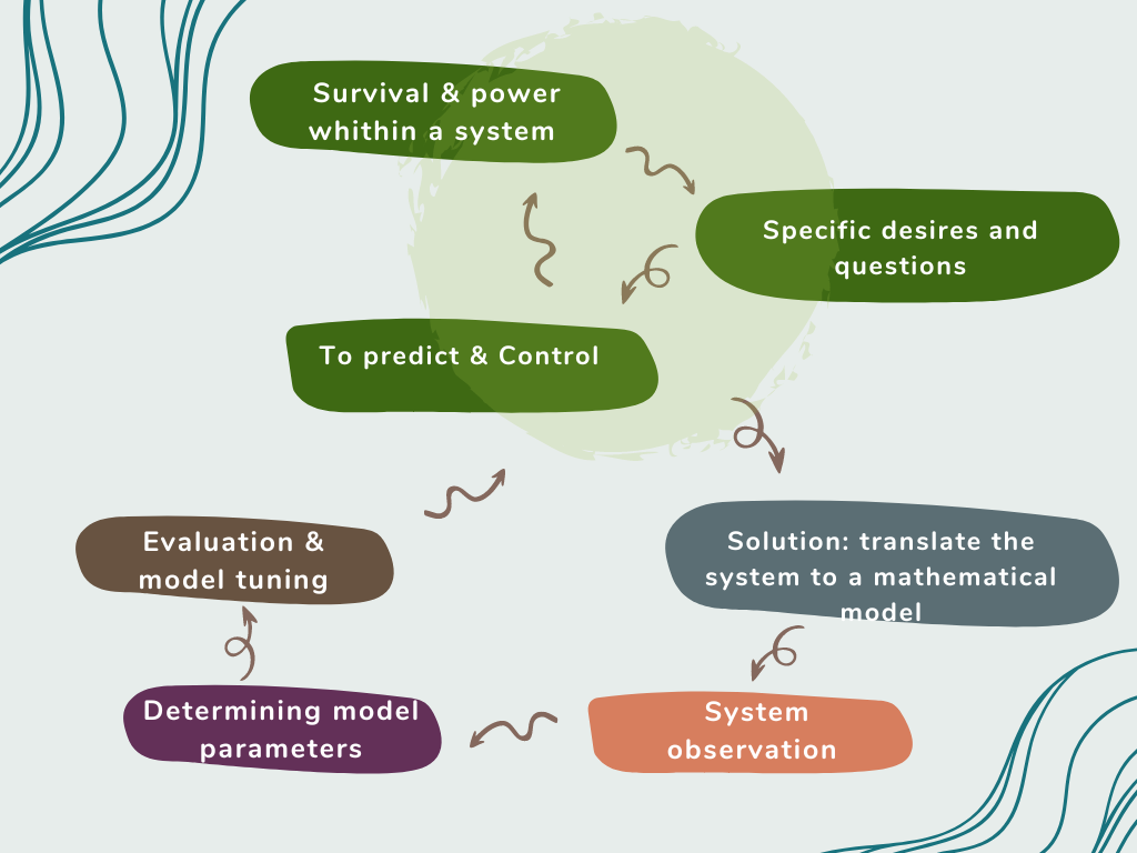 Understanding Modeling And Parameter Estimation Through Maximum