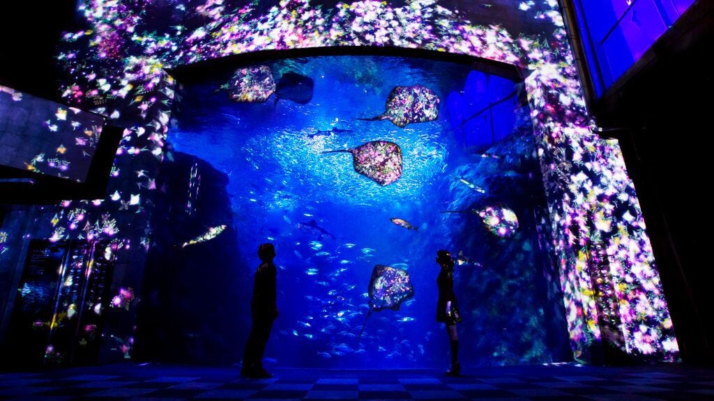 A fish can’t judge the water [Research & Theory] | by Clemence Debaig ...