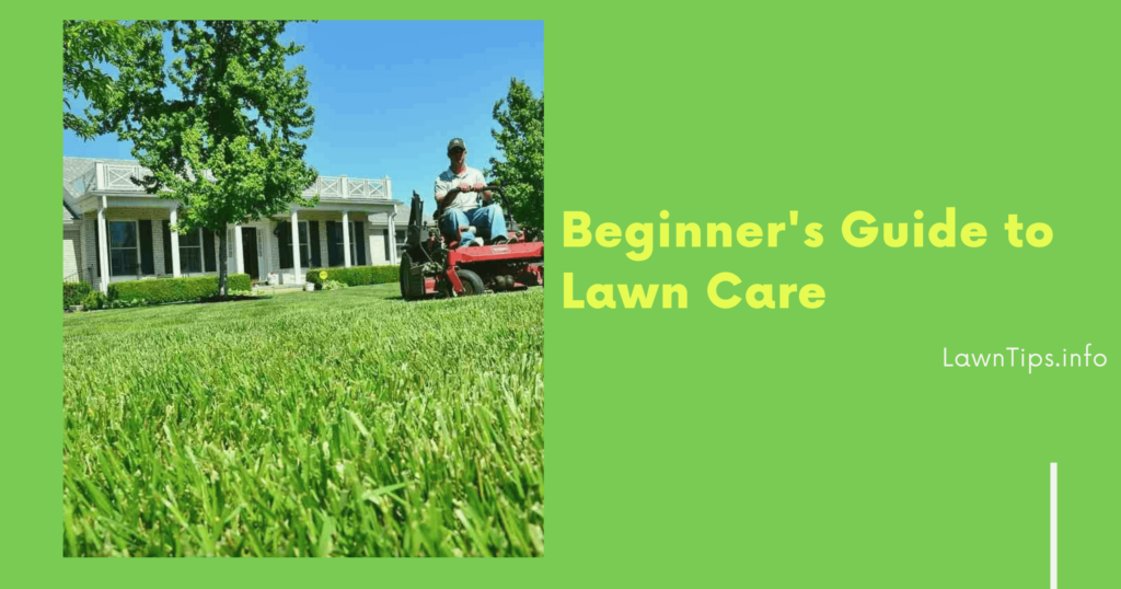 Beginner’s Guide to Lawn Care - Lawn tips - Medium