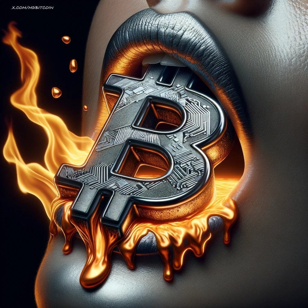 What is Bitcoin? The Taste of Sucess | by 2140 - The Rise of Bitcoin ...