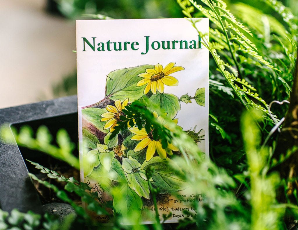 What is Nature Aging Journal?. Welcome to the captivating world where ...