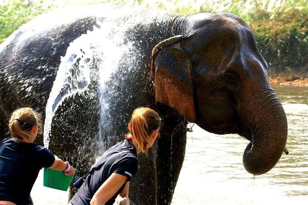 An interview with National Geographic Traveler of The Year and veteran ...
