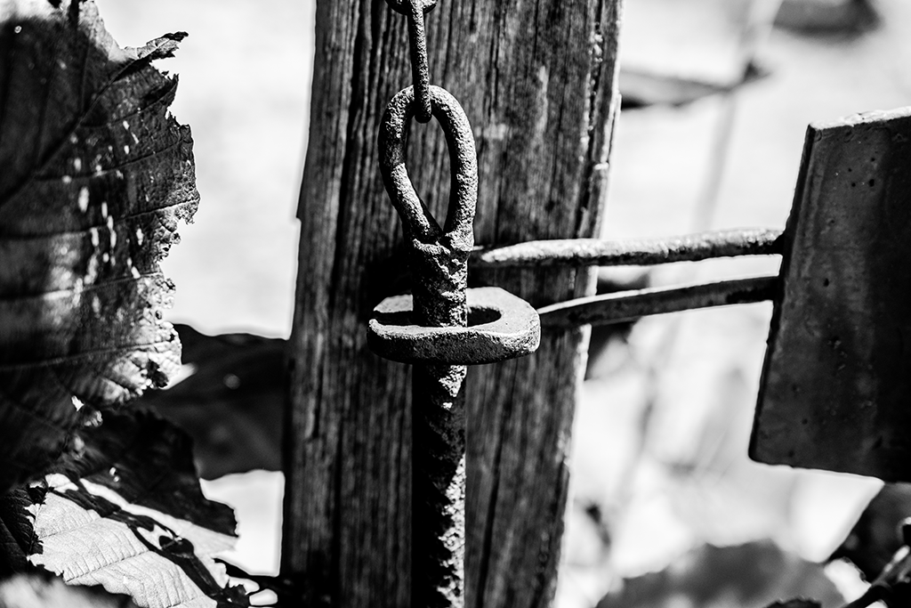 Programming to an Interface. Discover how to create flexible… | by ...