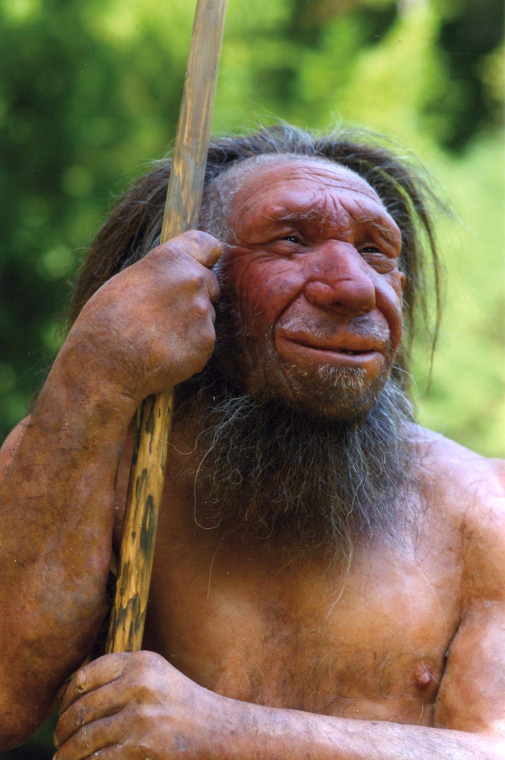 What Did They Eat The Neanderthals By A Renaissance Writer Exploring History Medium
