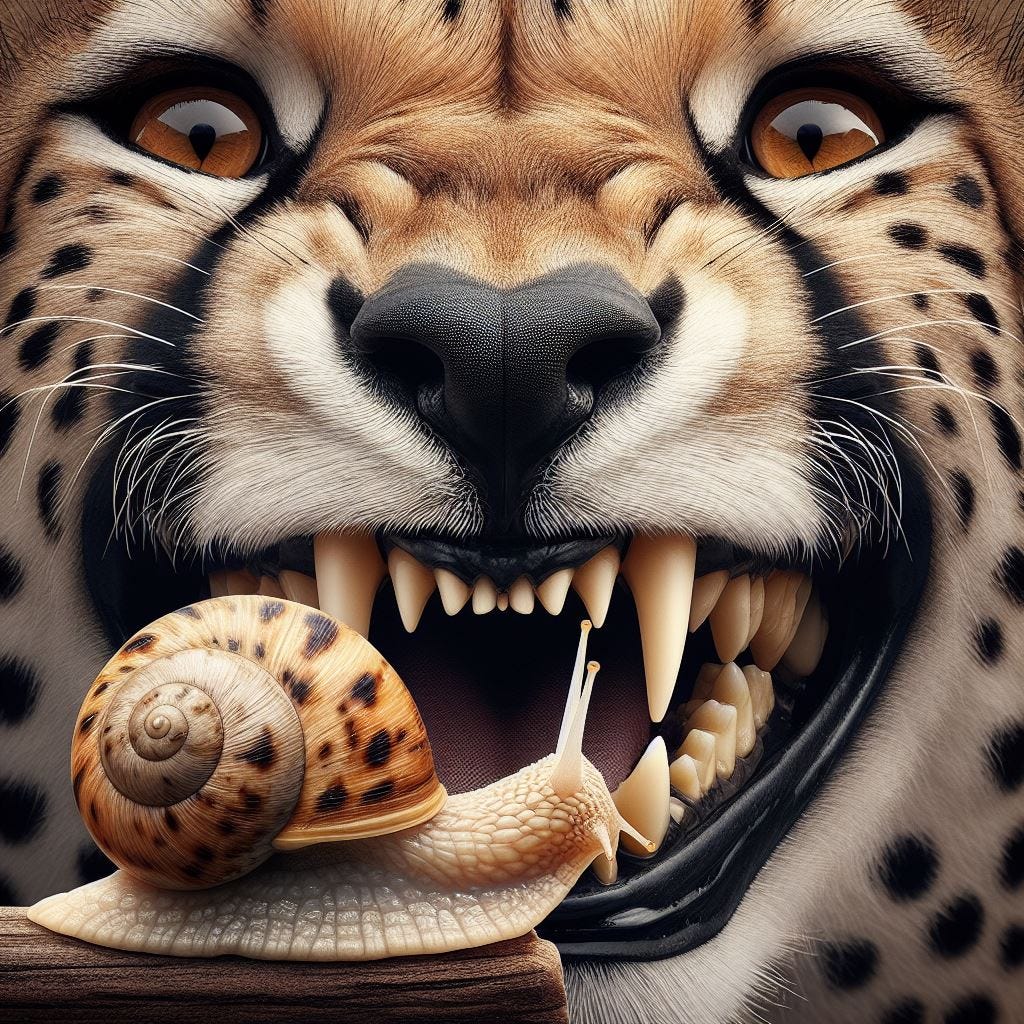 Why Cheetahs Are Bad at Building Habits | by Tristan Tell | Write A ...