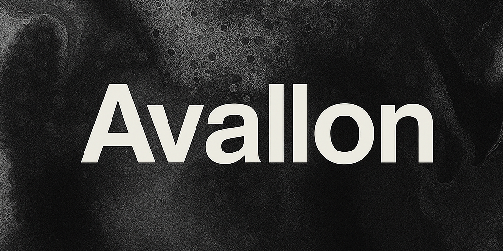 We Built Avallon Because Getting Online Is Still Broken | by Aayush ...