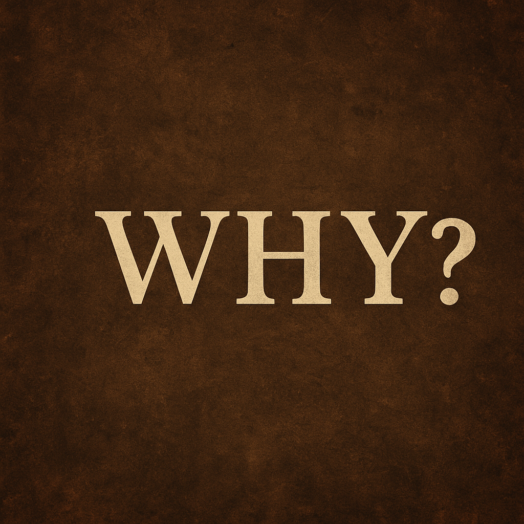Why ‘Why’ Is the Most Important Question | by Biram Dyene | Medium
