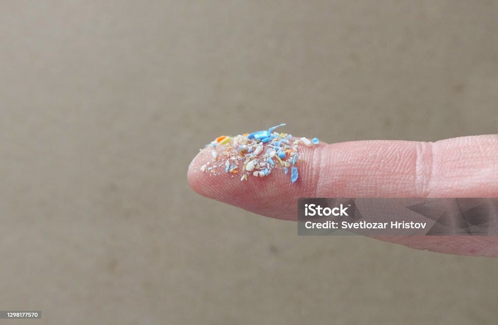 Critical Findings: Microplastic Accumulation in Human Brains and Its ...