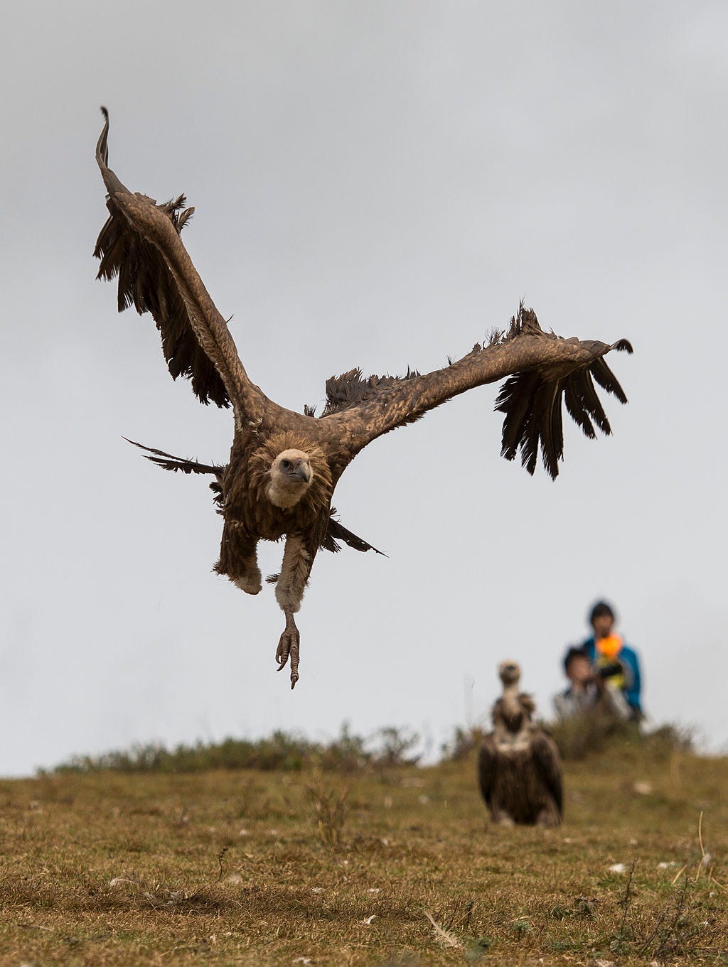 What is an sky burial? A unique form of funeral has been practiced for ...