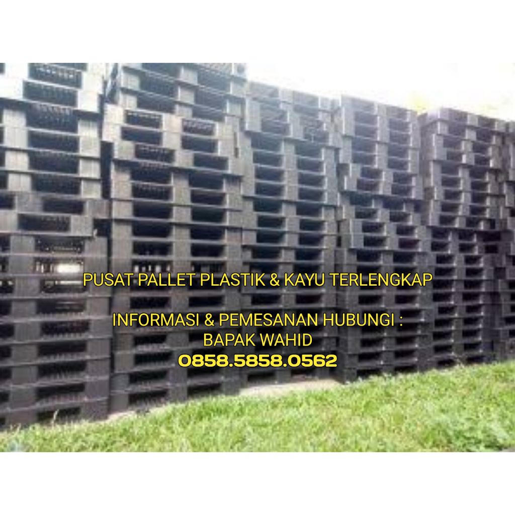 0858.5858.0562, Harga Pallet Kayu Bagus CEMPAKA PUTIH - Distributor ...