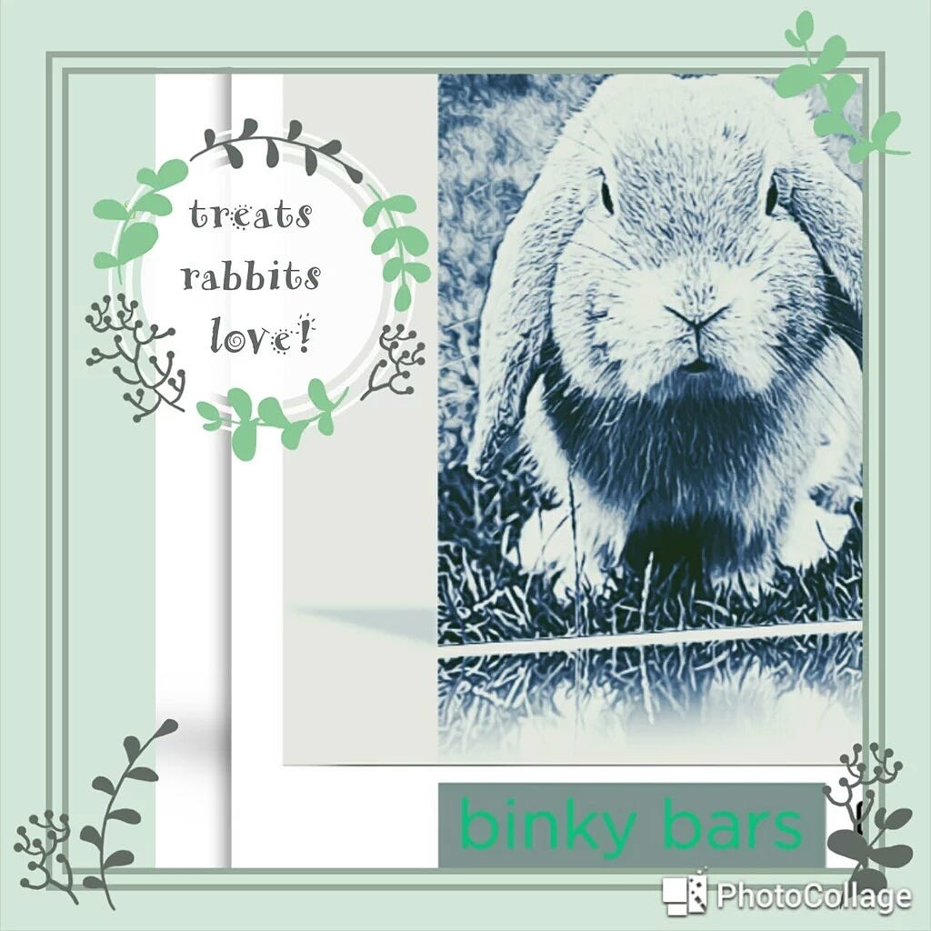 #binkybars #treats #rabbits #love | by Binky Bars Ltd - about.me ...