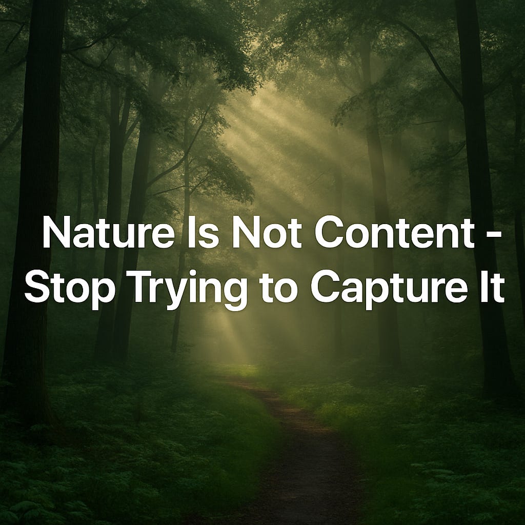 Nature Is Not Content — Stop Trying to Capture It | by Musa Adamu | Jun ...