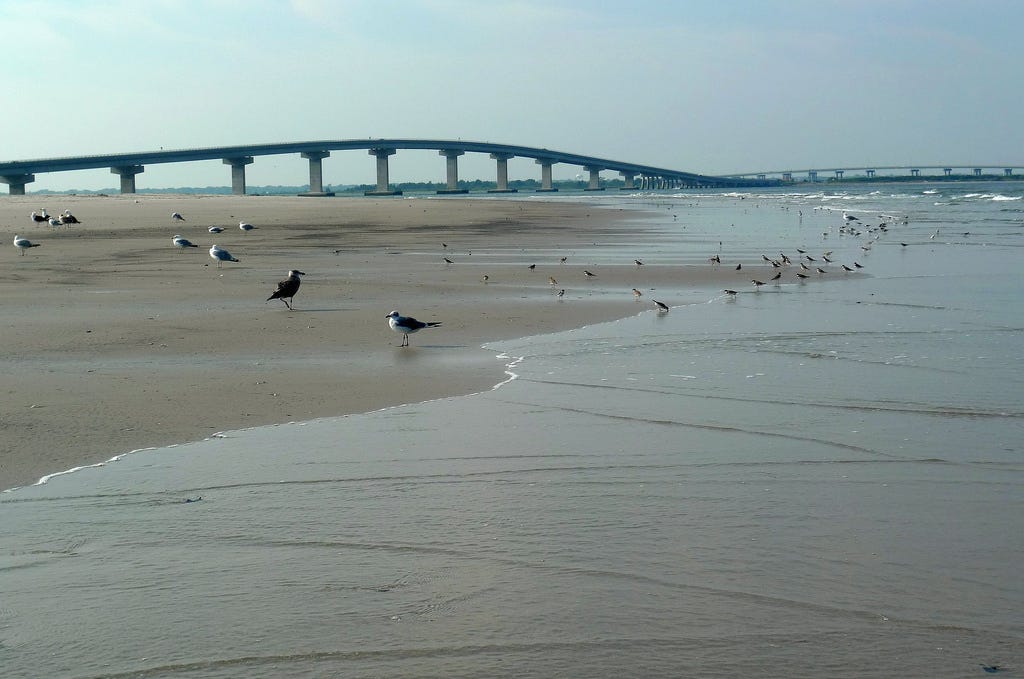 My Life As a Beach Tagger. My first job ever was working on the… | by ...
