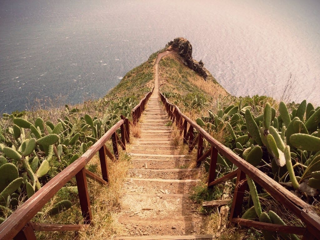 Reasons to visit Madeira during the Fall / Winter | by Femke Irik | Medium