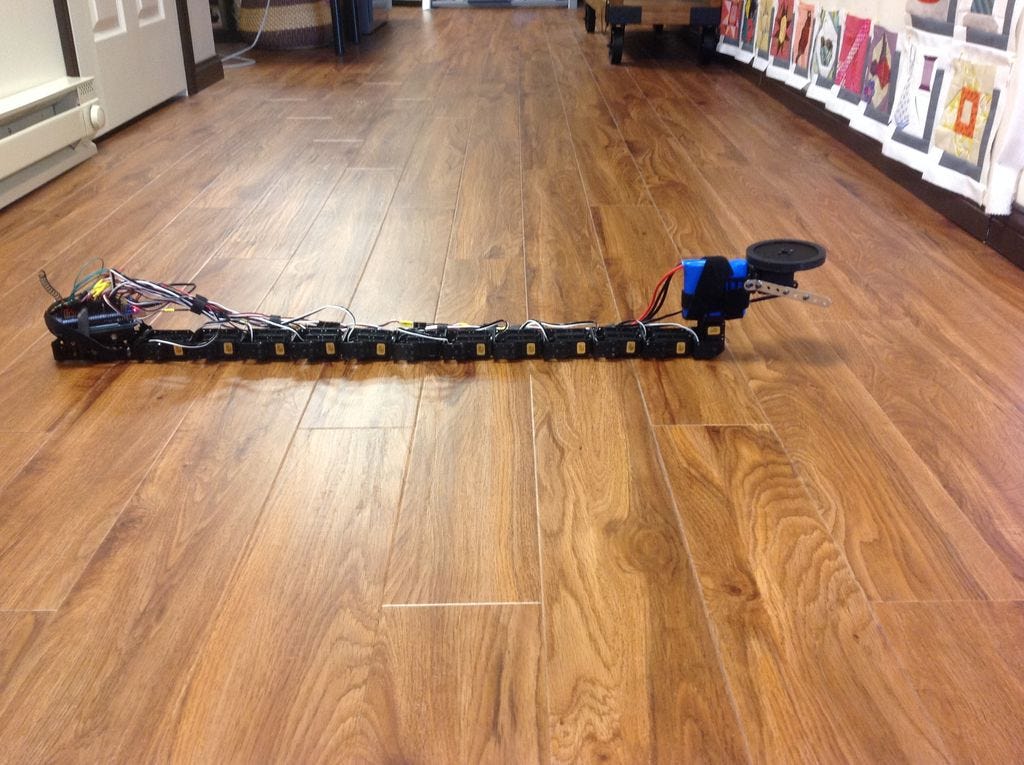 This Guy Created a Slithering Robo-Snake With 12 Servos | by Hackster ...