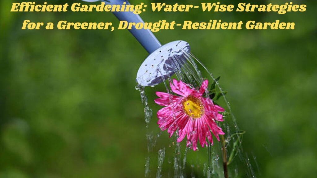 Efficient Gardening: Water-Wise Strategies for a Greener, Drought-Resilient Garden | by kristan ...