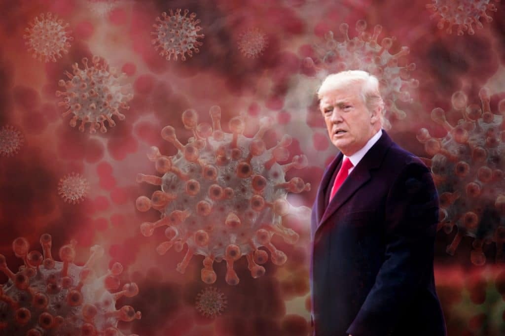 Pandemic, Politics, and Panic (2020 gets historic, March through August ...