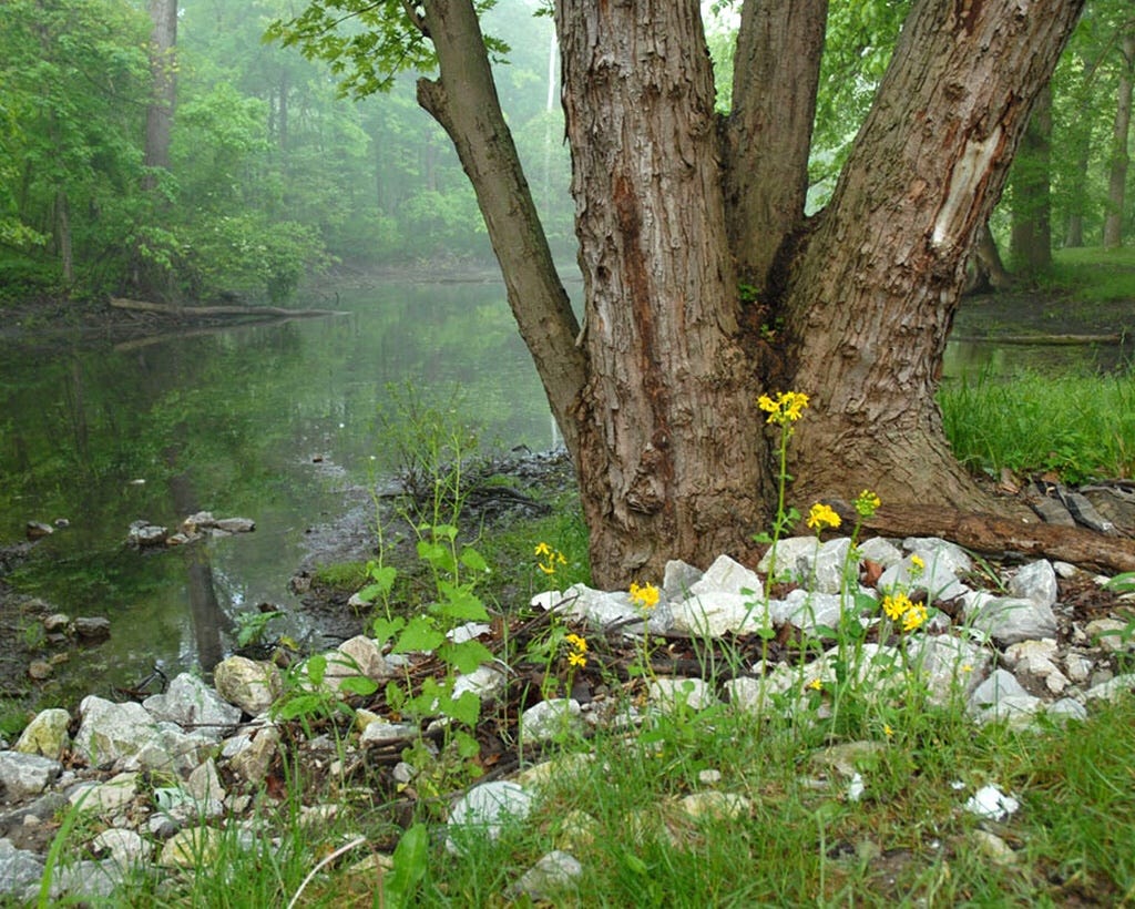 Engaging with Place. Years ago, I took a class which sought… | by Kim ...