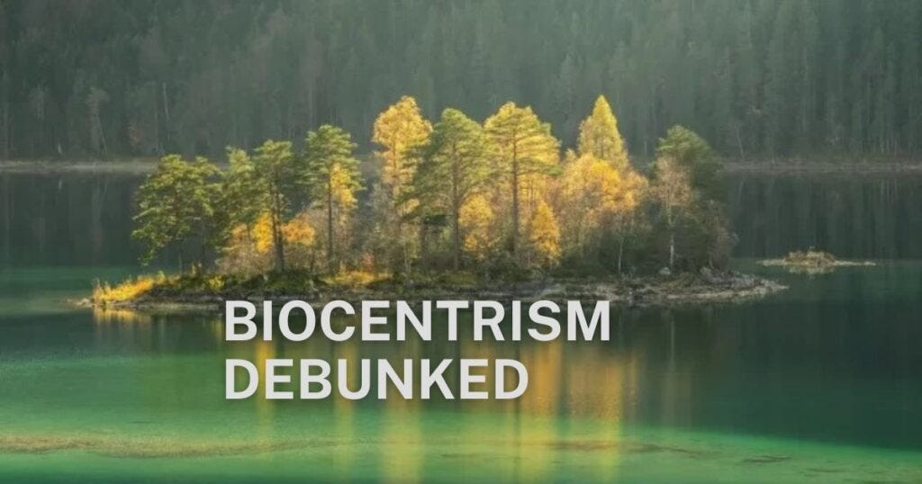Title: Biocentrism Revisited: A Deeper Examination of Its Claims | by ...