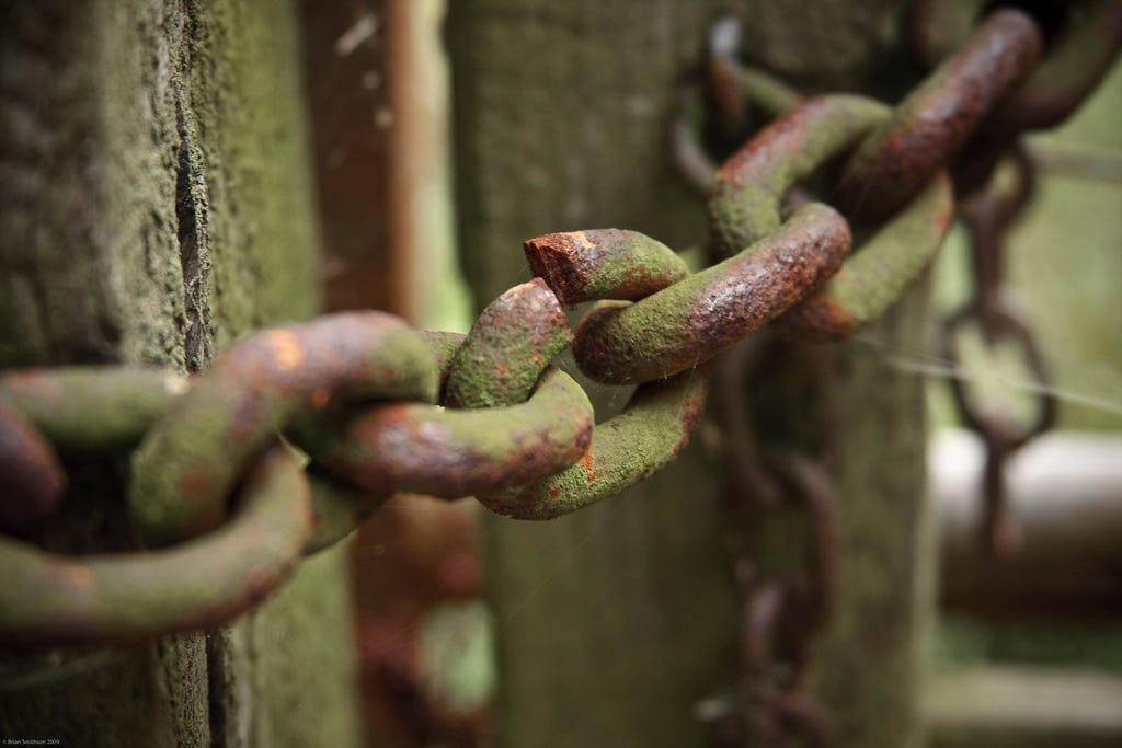 Christians Don’t Have to Submit to Government | by Billie Hoard | Medium