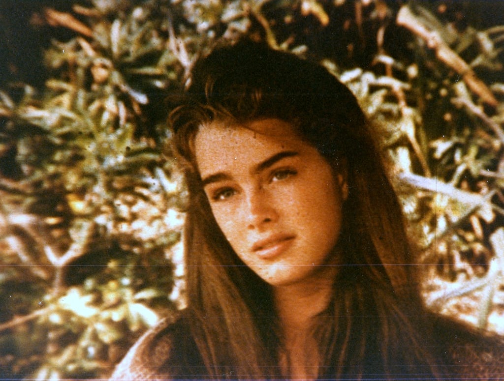 Brooke Shields: Her Life In The Spotlight | by Moria Rees | The Celeb ...