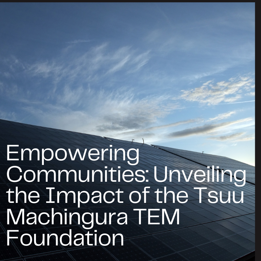 Empowering Communities: Unveiling the Impact of the Tsuu Machingura TEM ...