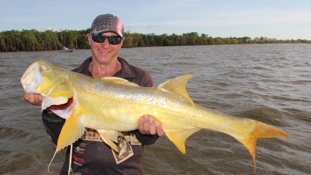 # FISHSURFING THREAD FIN FISH. This is an interesting, let’s dig in ...