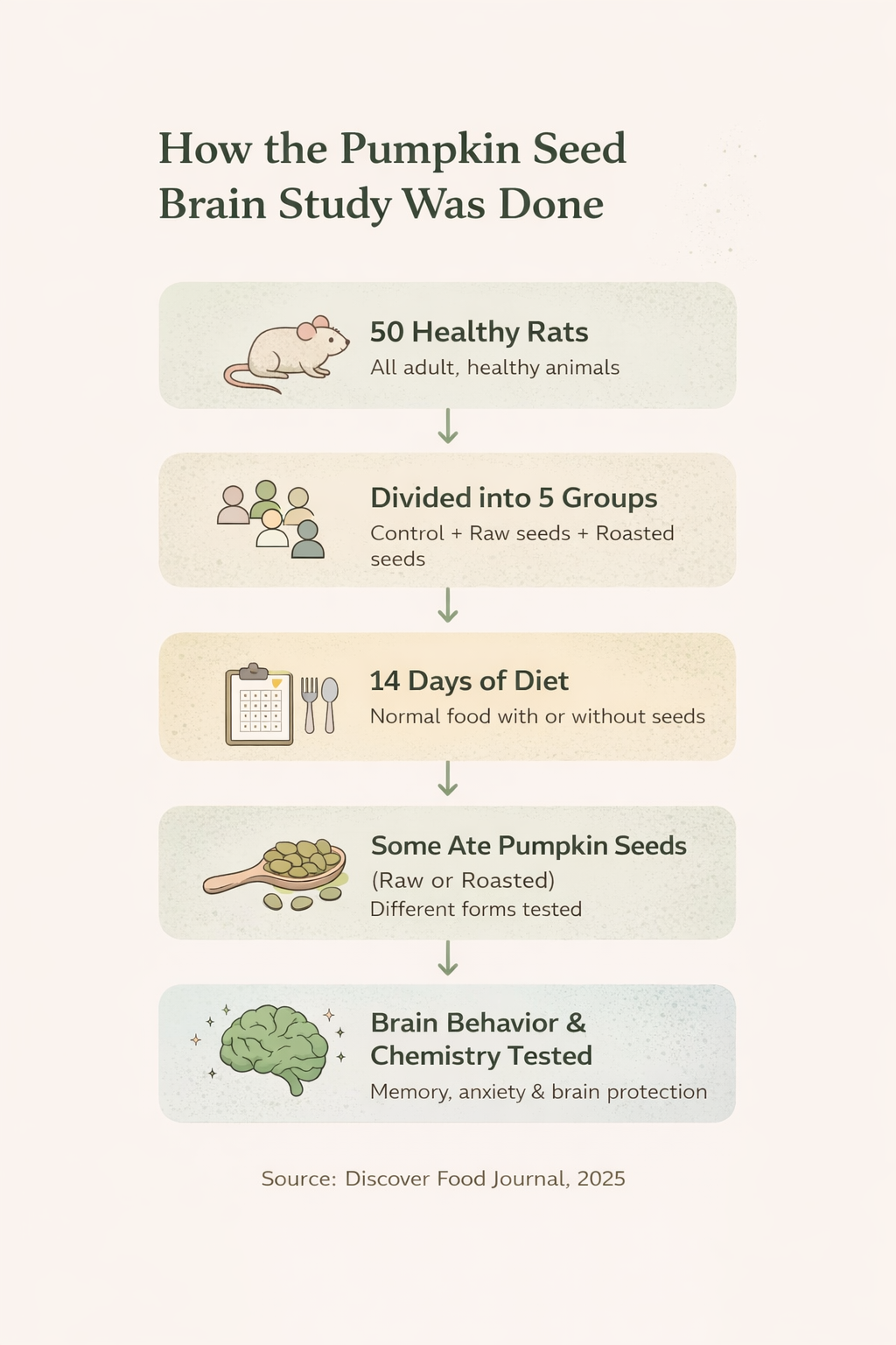 Pumpkin Seeds and the Brain:. A Quiet Science Story Hiding in Your ...