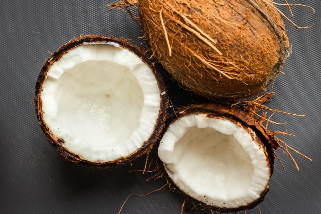 Kelapa Yang digunakan untuk Santan kelapa | by RafifZaki | Medium