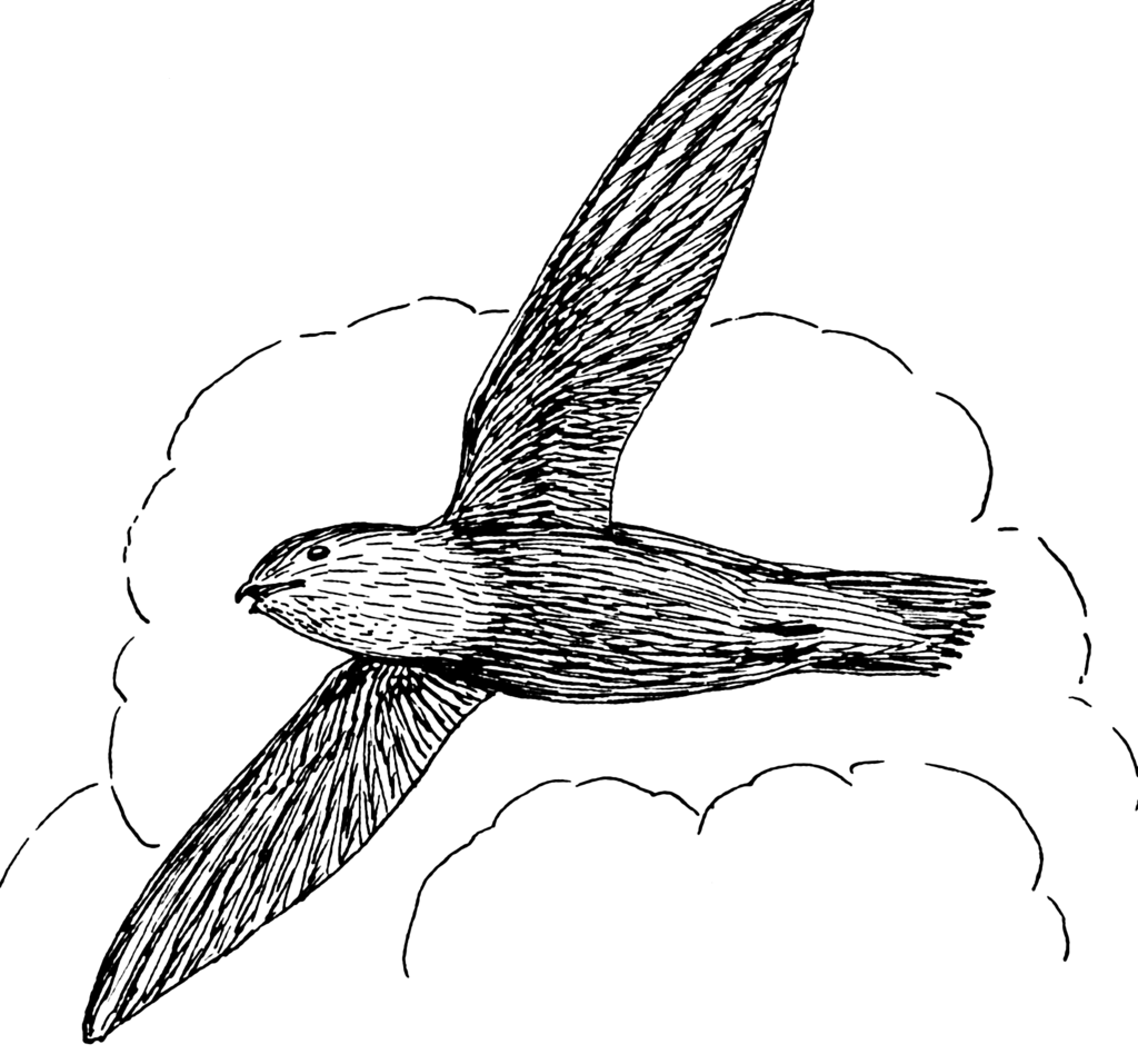 The Swift Motif in Derek Walcott’s Omeros | by Ronald Boothe | Medium