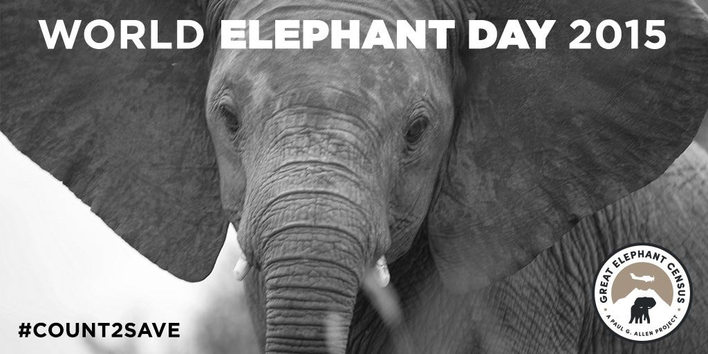 What If There Were No Elephants Left? | by Vulcan Inc. | Vulcan Inc ...