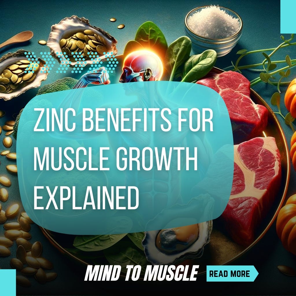 Benefits of Zinc for Muscle Growth - Mind To Muscle Fitness - Medium
