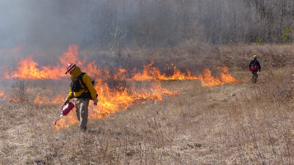A Promising Approach to Wildfire Management: Fighting Fire with Fire ...