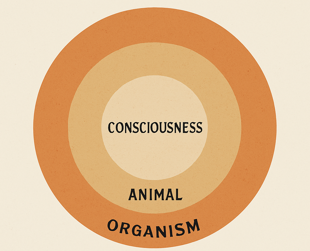 A Framework for Understanding the Layers of the Self | by Jacob Mather ...