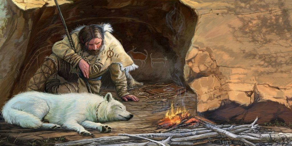 The First Best Friend. How Wolves Became Our Steadfast… | by Sreya ...