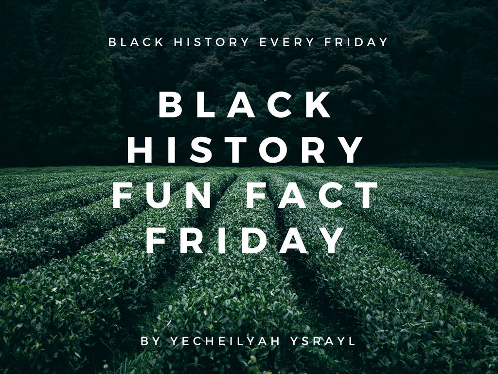 Black History Fun Fact Friday — Mostafa Hefny and The Race Card | by ...