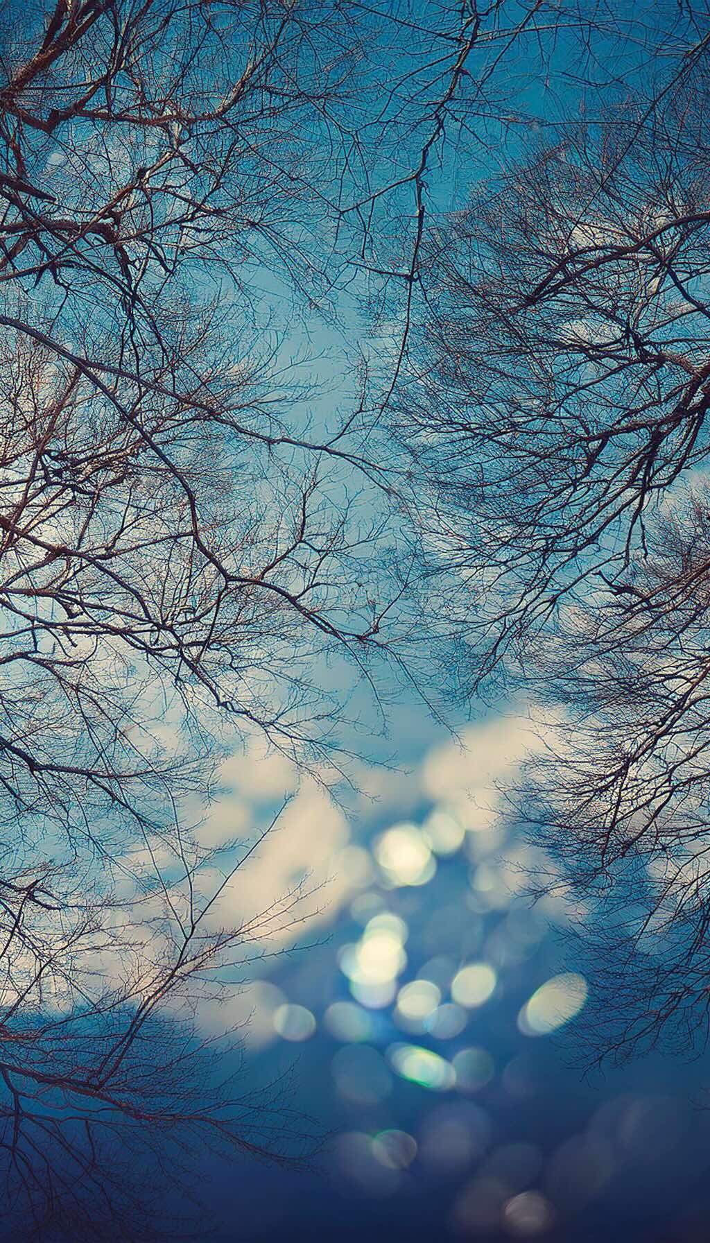 Harmonic Breeze: A Haiku Celebrating Wind’s Quiet Strength - Printique ...
